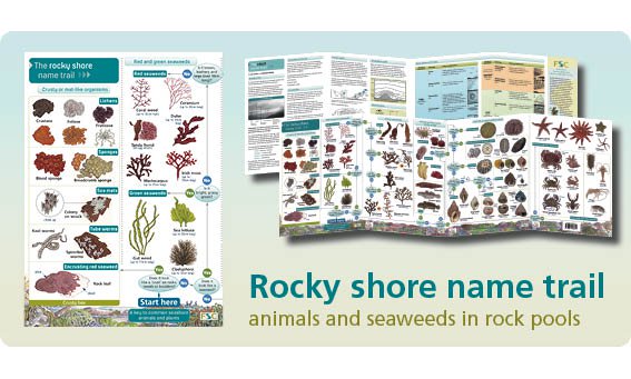 Rocky Shore Name Trail Field Guide